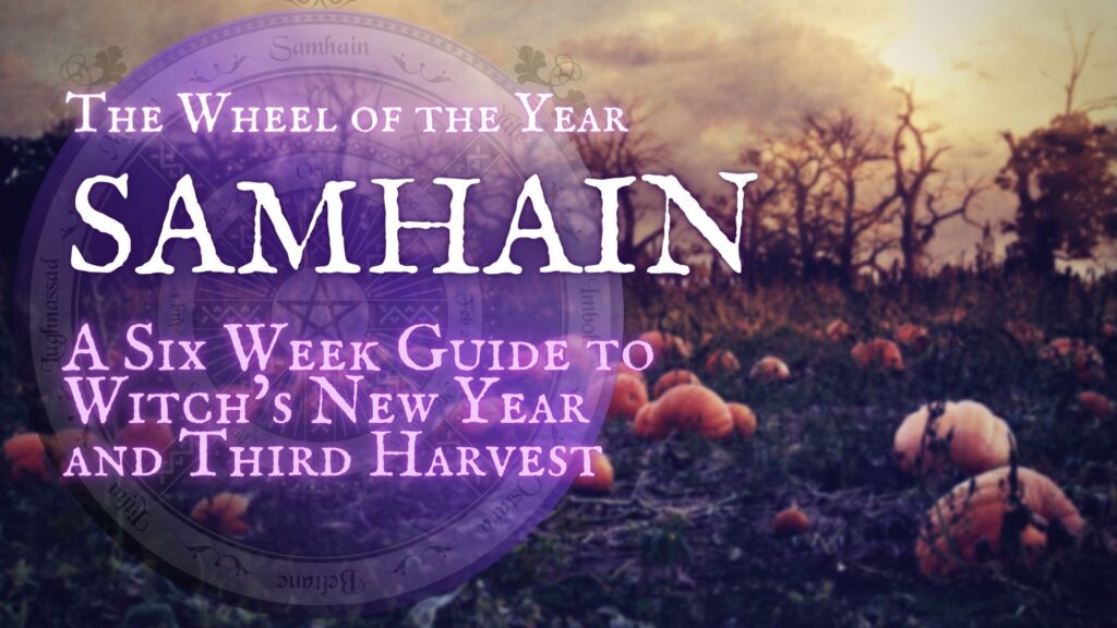 Samhain ⋆ Meagan Angus